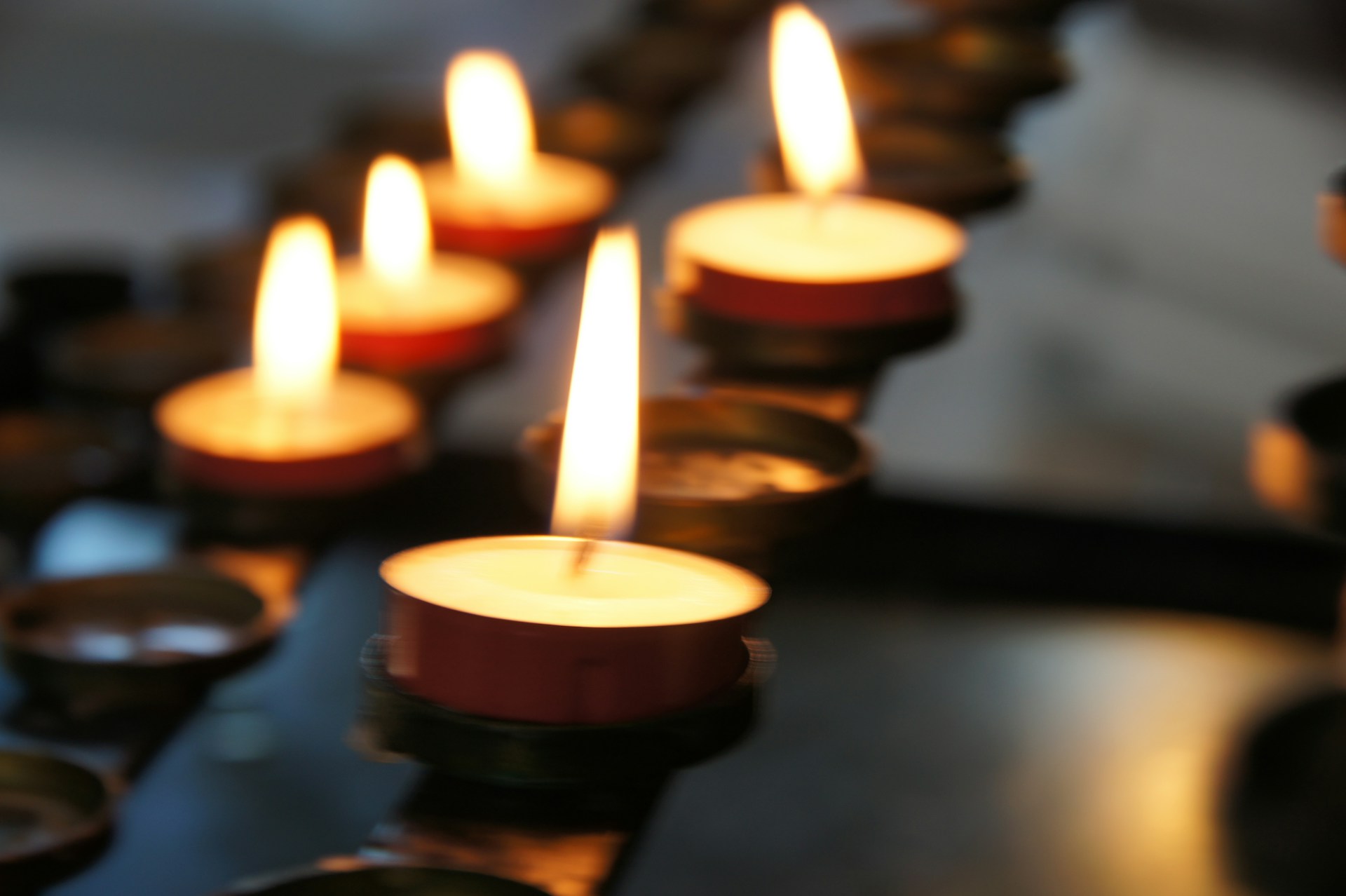 Funeral Services | Compassionate Care Animal Cremation